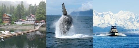 ALASKA’S NEWLY RENOVATED ELFIN COVE RESORT OFFERS BIG FISH, BIG VIEWS ...